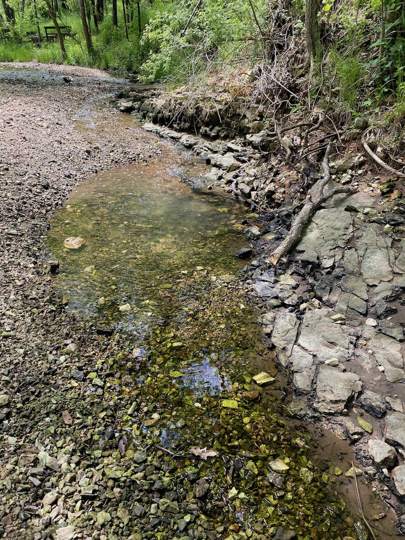 Search For the Losing Stream at Forest 44 - thatawaydad.com