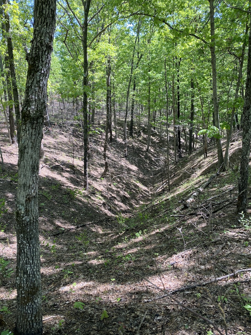 Hill Hiking at Long Ridge Conservation Area - thatawaydad.com