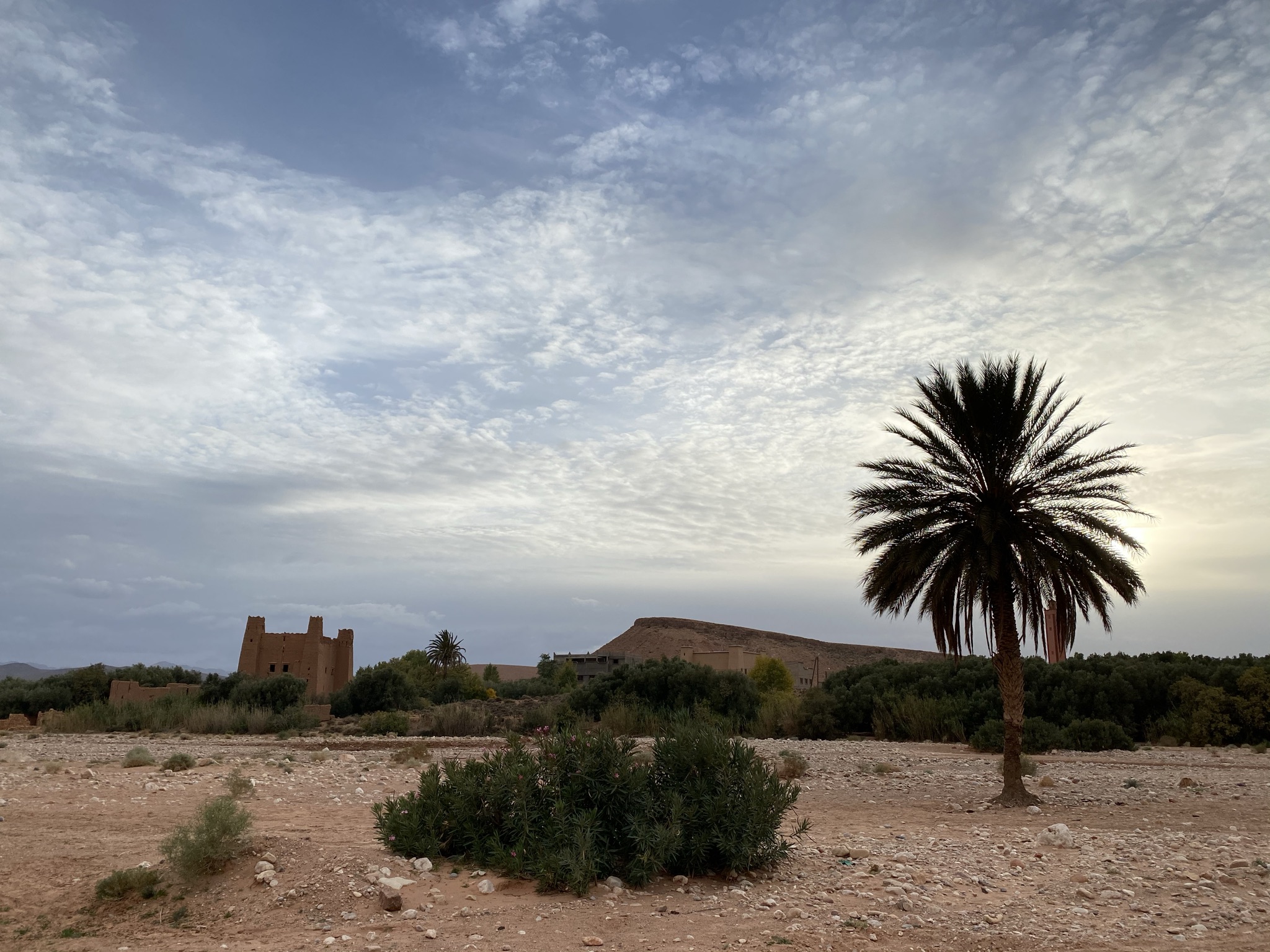 Our Project - The Alternative Morocco