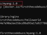 Docker Containerize An Angular App With Ngnix Thecodebuzz
