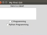 Python Gui Programming Tkinter Part Ii