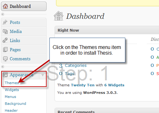 Tutorial to Install Thesis Theme on a WordPress Blog in 3 steps
