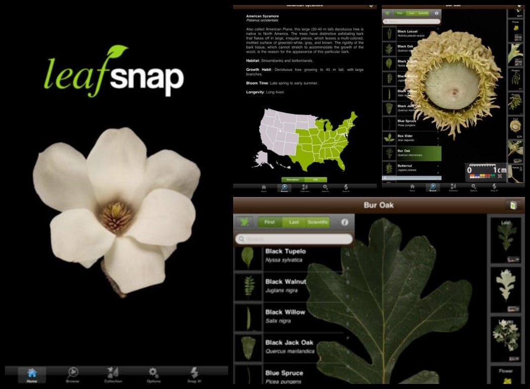 7 Best Travel Apps for Responsible Travel – The GreenPick
