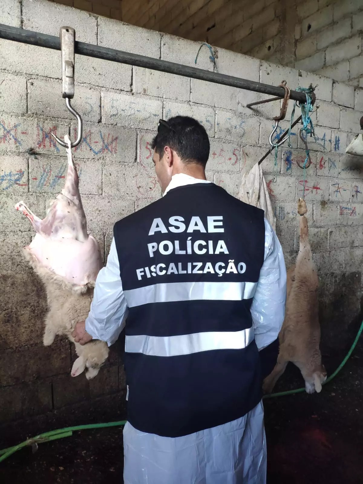 Die Operation OPSON XI - The Kasaan Times