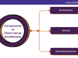 Explain Client Server Architecture With Diagram Infoupdate Org