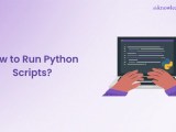 How To Run Python Script Step By Step Guide For Beginners 01 09 2024