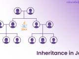 Guide To Inheritance In Java With Example
