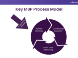 Overview Of Msp Process And Principles A Step By Step Guide