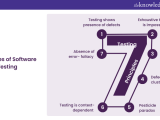 7 Software Testing Principles You Must Know