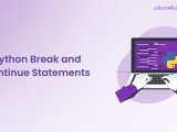 Python Break And Continue Statements Explained