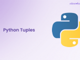Python Tuples What It Is And How To Create One
