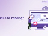 Let S Talk About Css Padding A Step By Step Explanation