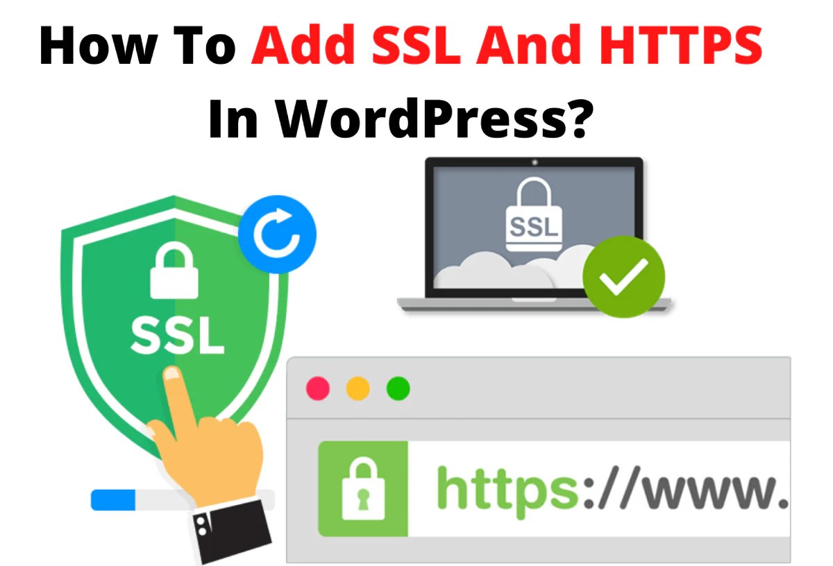 How To Add Ssl And Https In Wordpress In Easy Steps Themescaliber