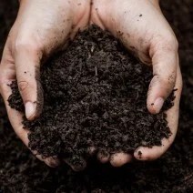 Colorado becomes the 2nd state allow for human composting - The Natural ...