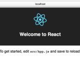 Getting Started With Capacitor Using React