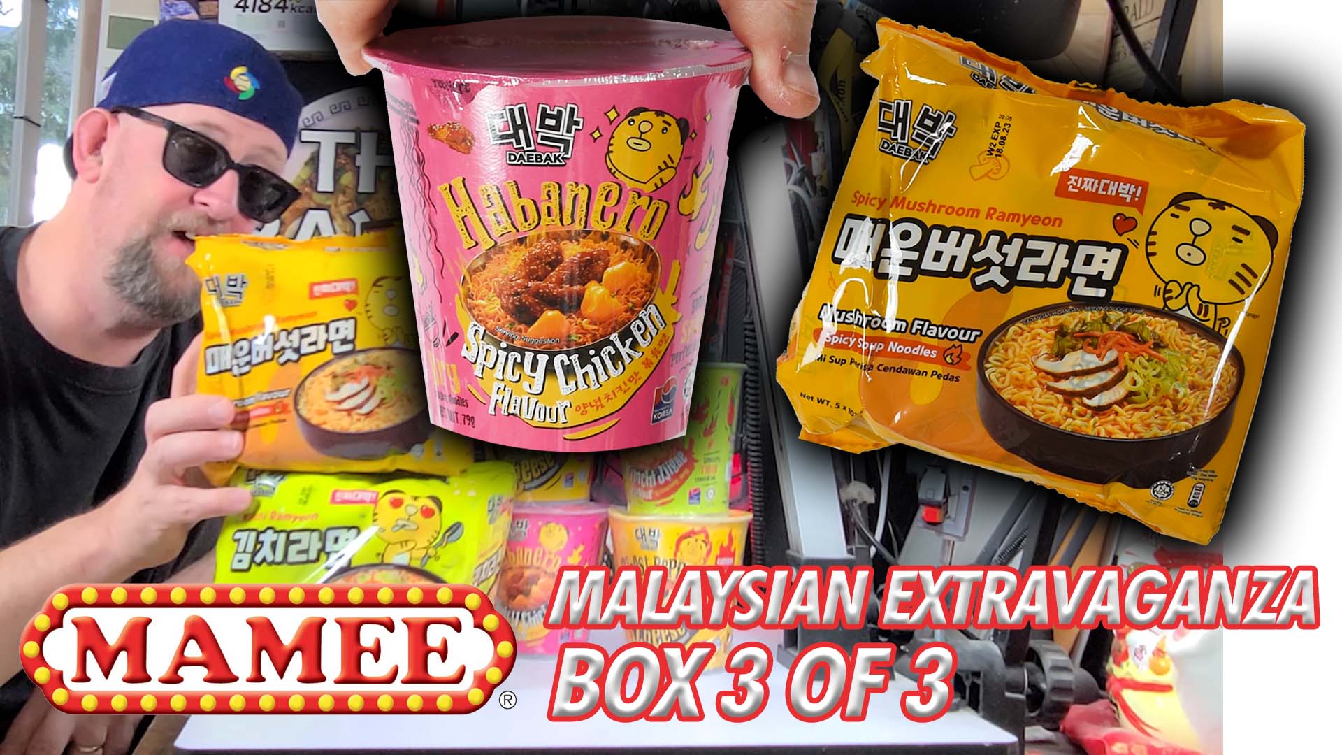 Mamee Shinsegae Malaysian Extravaganza Box 3 Of 3 mamee-shinsegae-malaysian-extravaganza-box-3-of-3