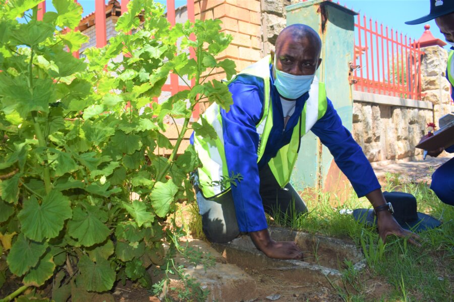 CHDM launches data cleansing project - The Rep