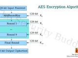Aes Implementation In Python The Security Buddy