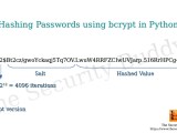 How To Hash Passwords Using Bcrypt In Python The Security Buddy