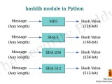 How To Generate Hashes Using The Hashlib Module In Python The