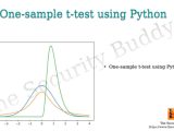 One Sample T Test Using Python The Security Buddy