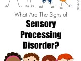 Sensory Processing Disorder Signs In Kids