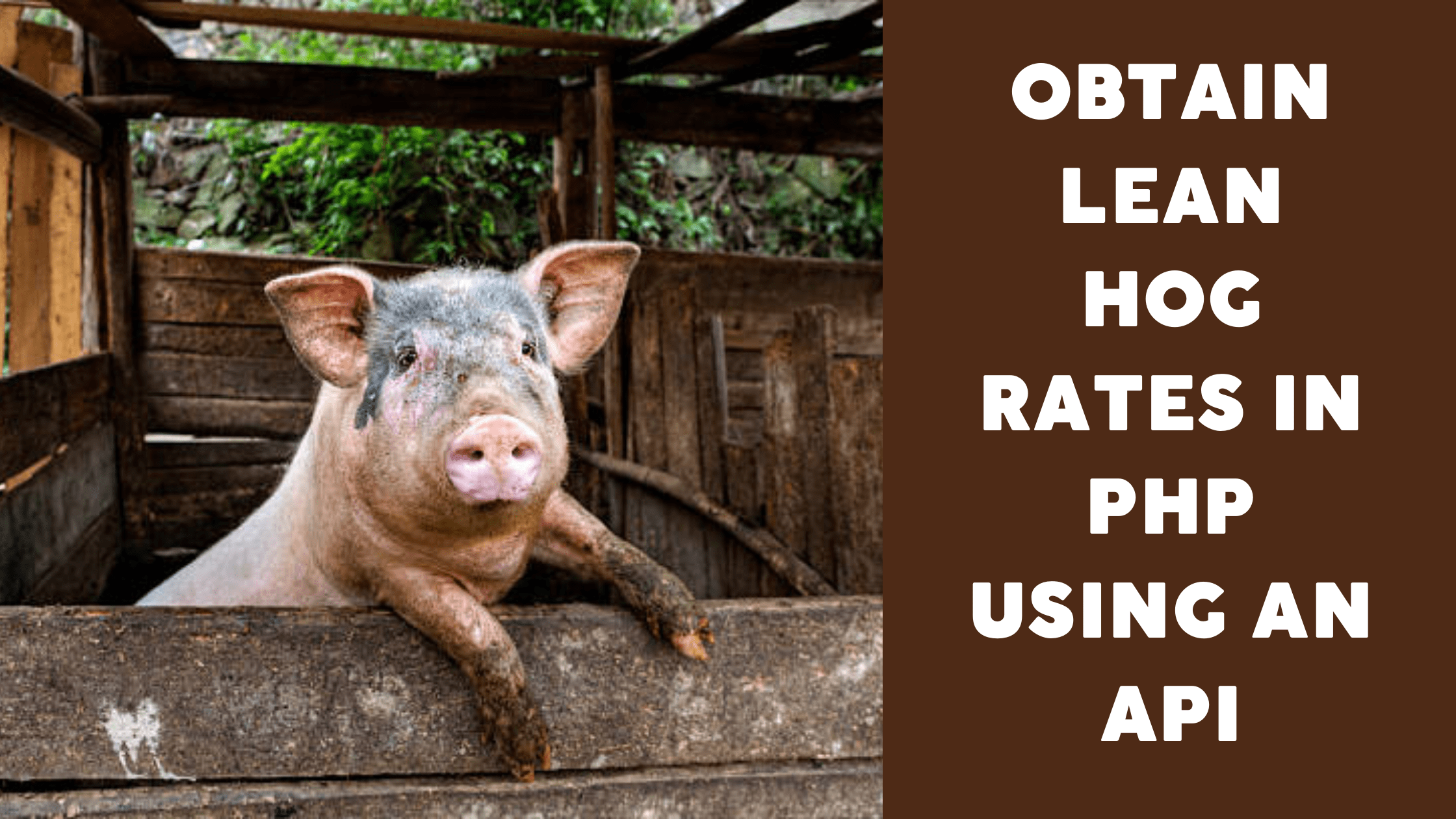 Obtain Lean Hog Rates In PHP Using An API
