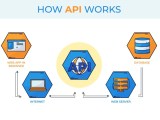 Categorization Api How To Use It Thestartupfounder