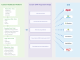 Healthcare Interoperability Integration Services Thinkitive