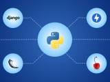 Everything You Need To Know About Python Development