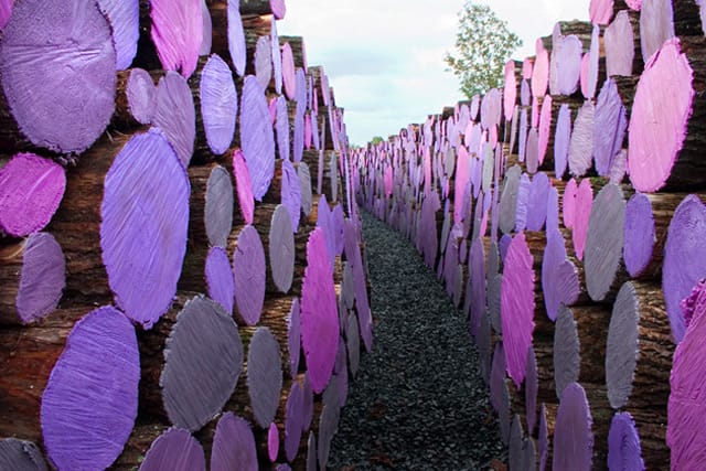 A Walkway of Severed Purple Logs by Michael McGillis – Rania's Random ...