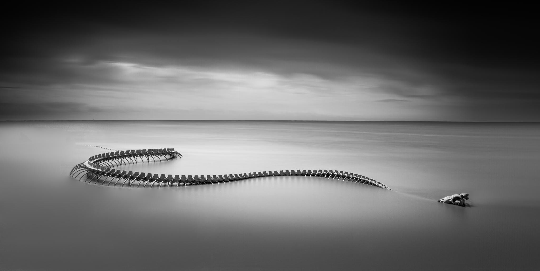 A River in France Has a Skeleton of a Sea Monster! | S.O.M.F