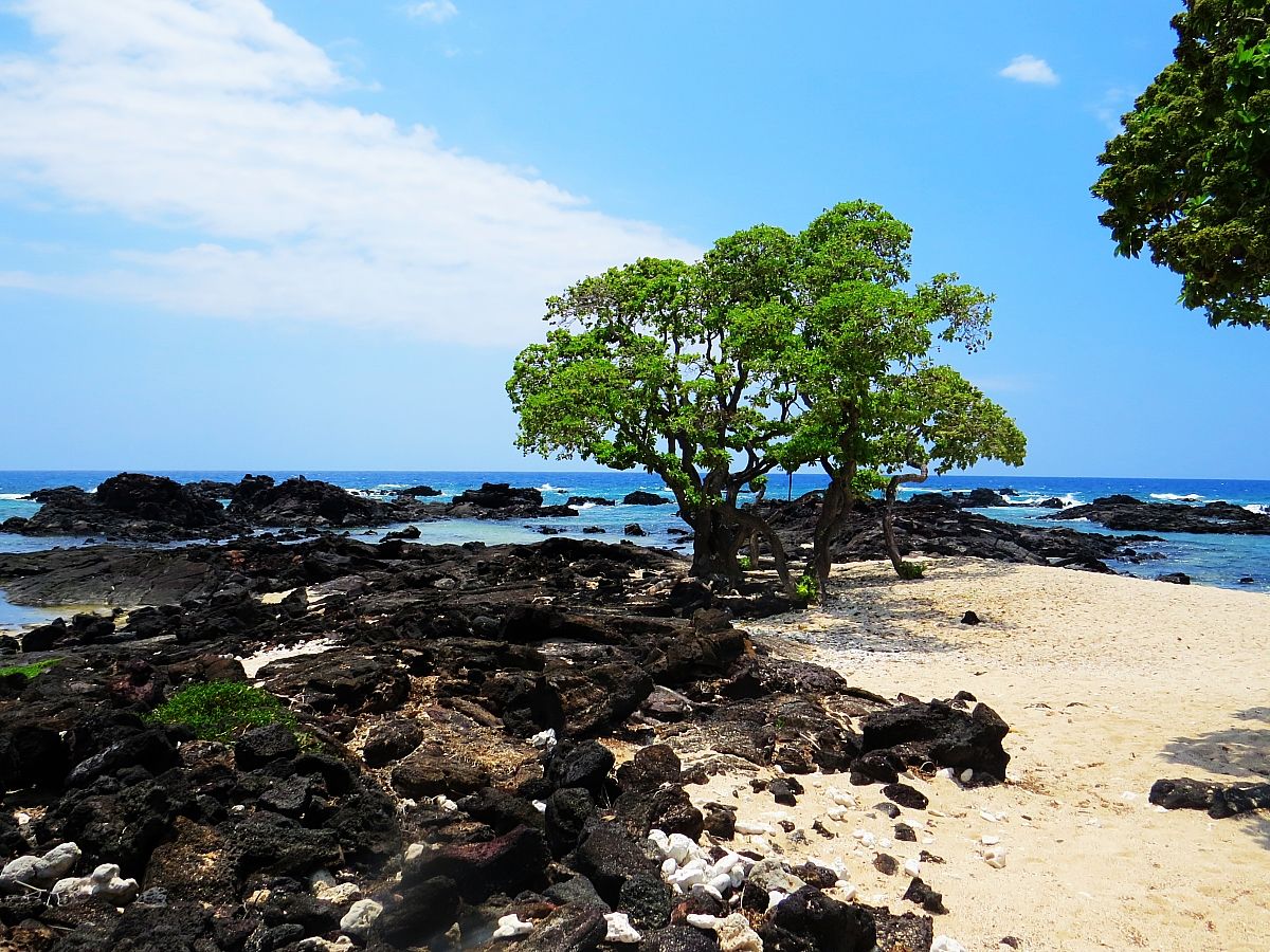 Kikaua Beach The Special Secret Beach On The Big Island This Way To kikaua-beach-the-special-secret-beach-on-the-big-island-this-way-to