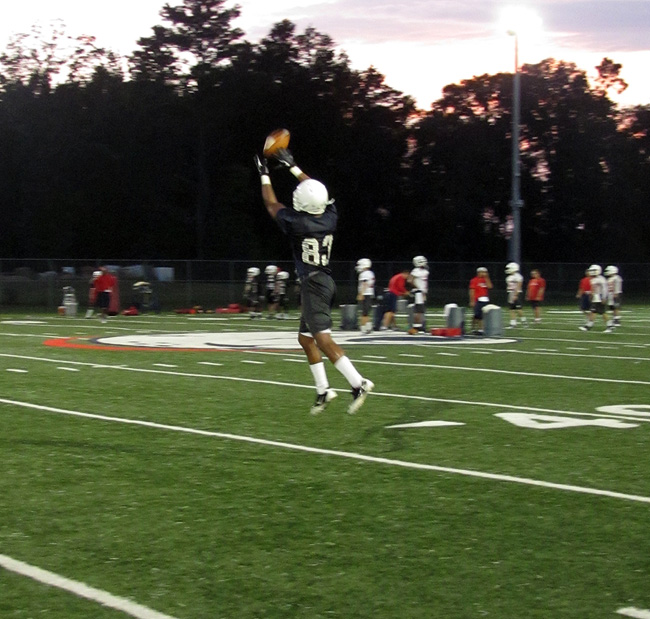 Jared Palmer Archives - Thunderjags - USA Jaguars Sports : Thunderjags ...