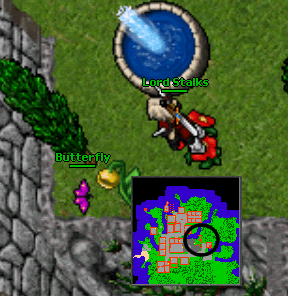 The Explorer Society Quest «Tibia quests Tibia quests