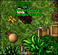 Royal Rescue Quest «Tibia quests Tibia quests