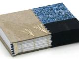 Codex
