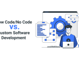 Custom Software Or Low Code Software Development What Your Business Needs