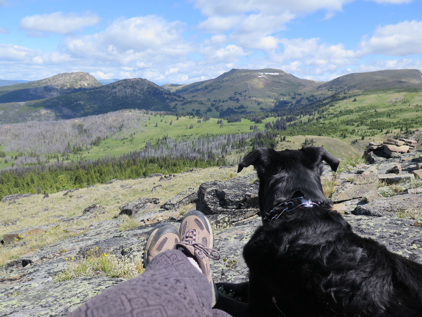 Peakbagging the Pasayten: Rock, Armstrong, Horseshoe and Pick - TrailChick