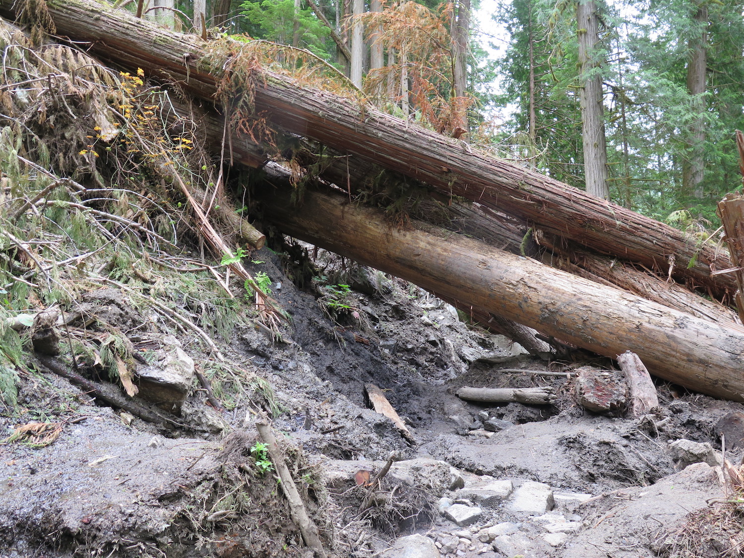 Fastpacking Miners Ridge Fire Lookout - TrailChick
