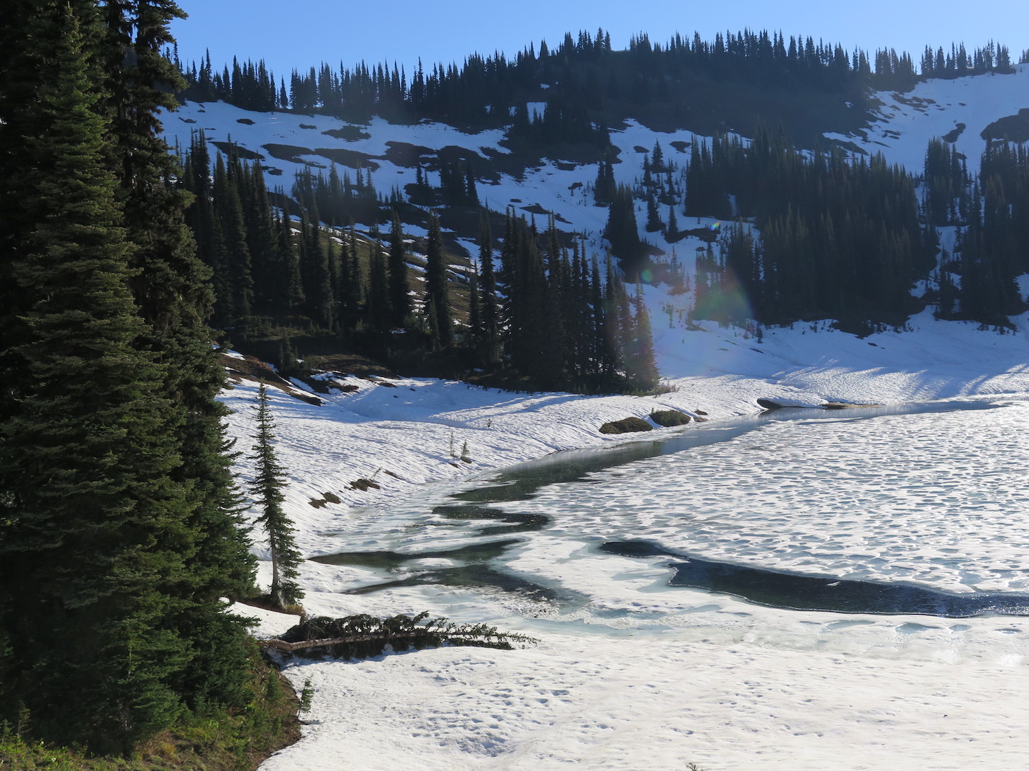Fastpacking Miners Ridge Fire Lookout - TrailChick