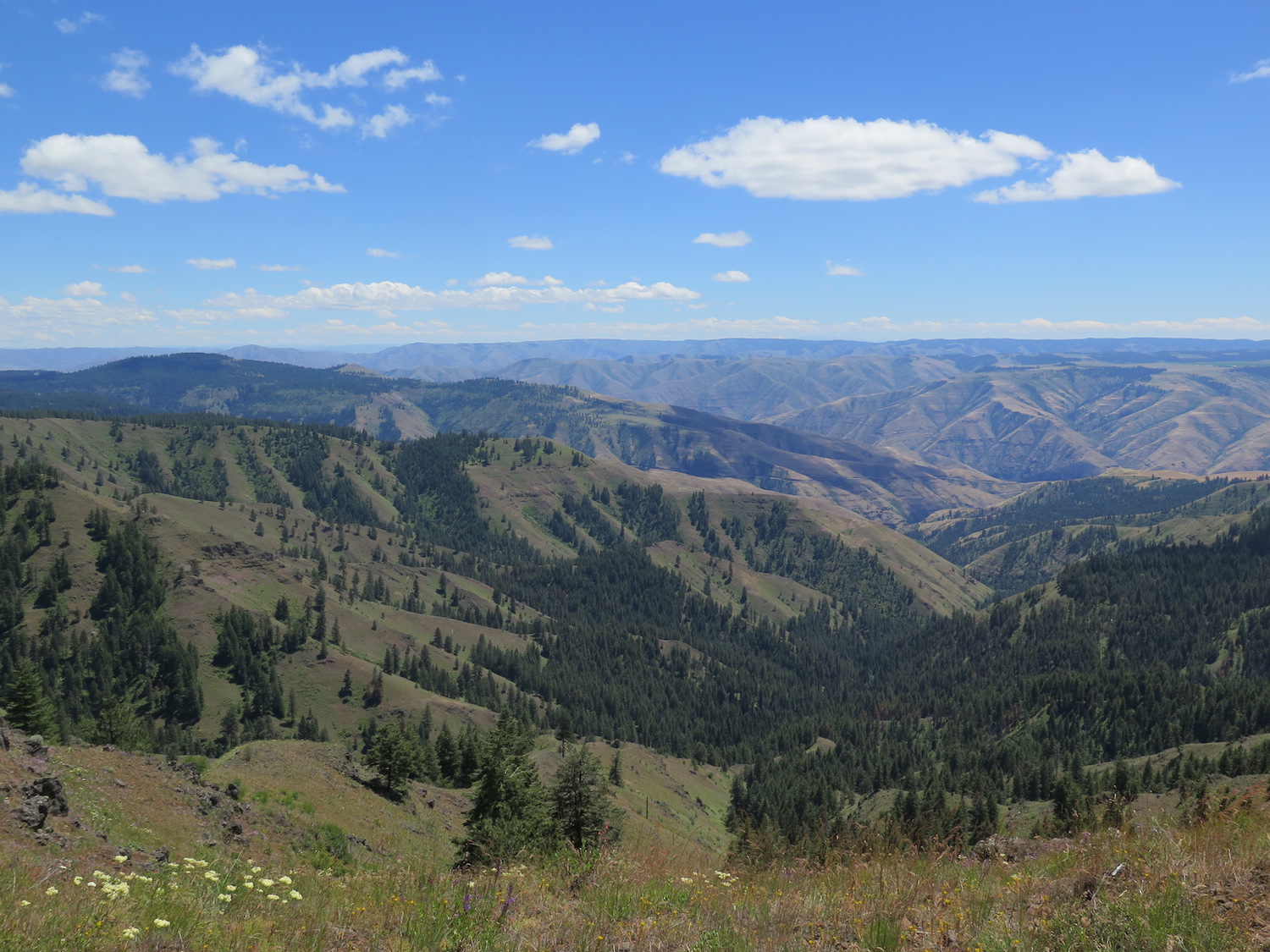Discovering the Blue Mountains and Their Fire Lookouts - TrailChick