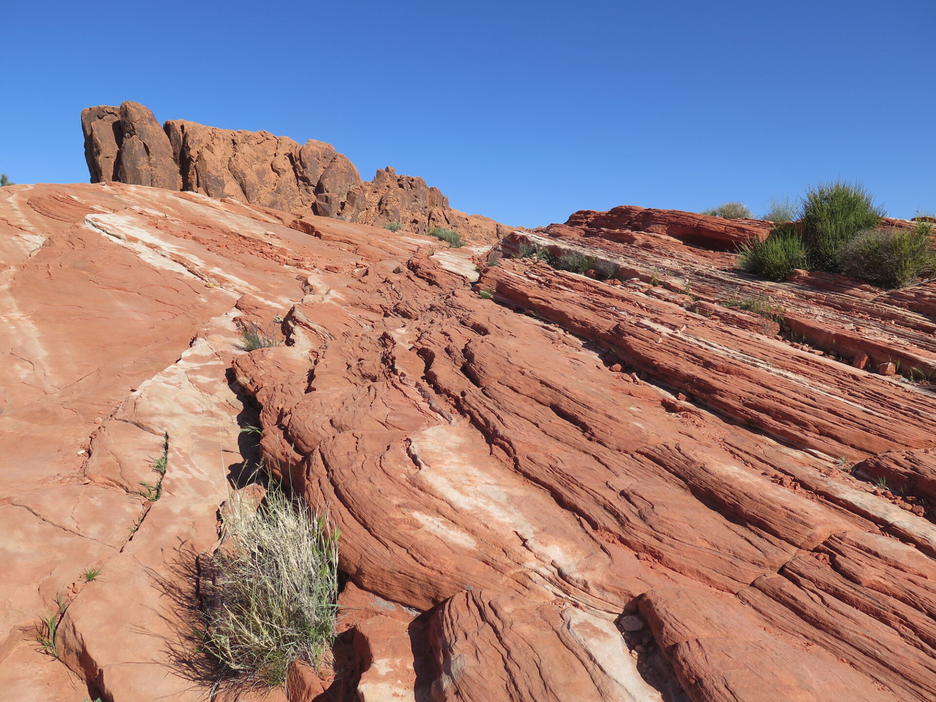 The Healing Power of the Desert Southwest - TrailChick