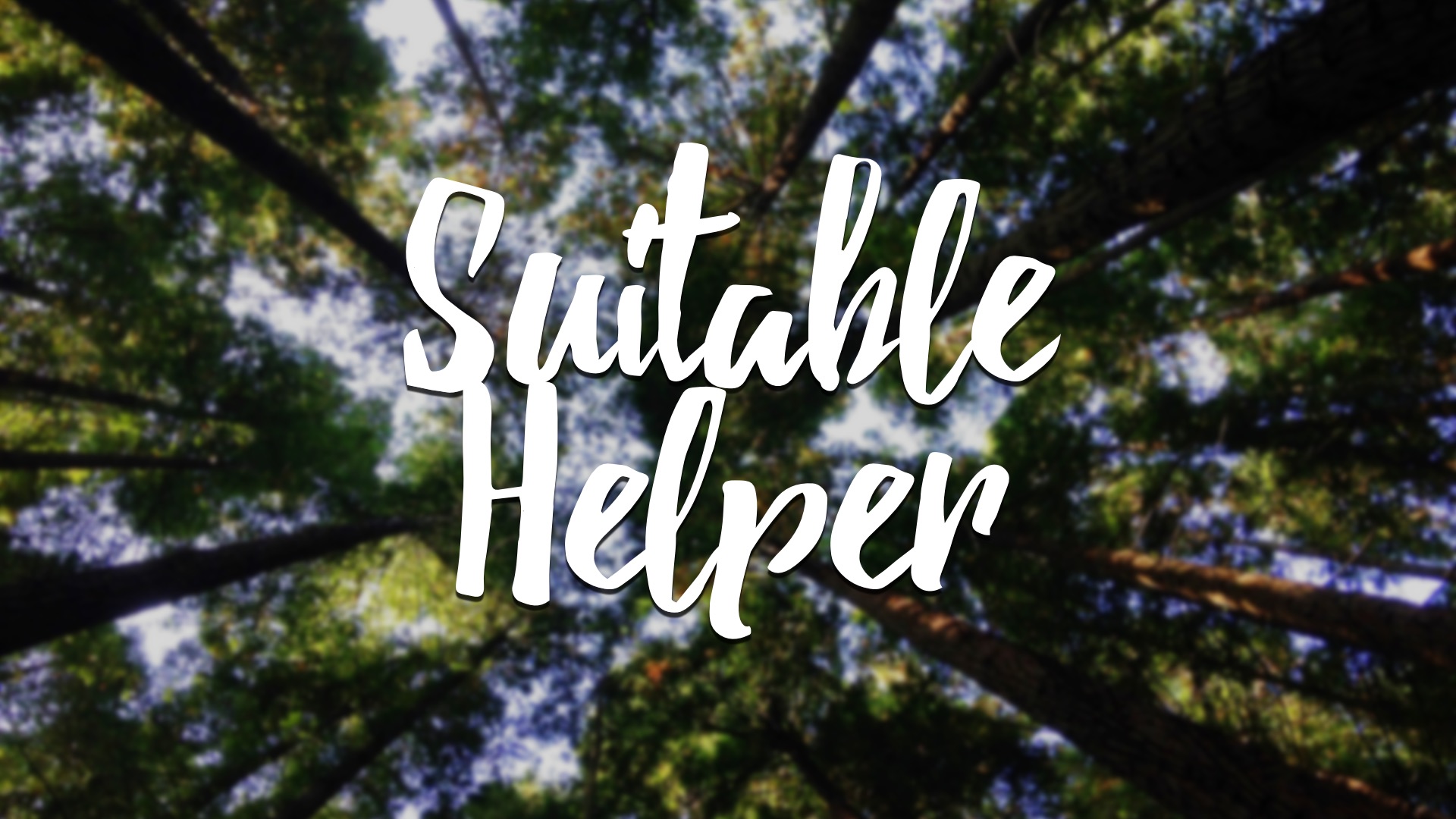 Suitable Helper - TravisAgnew.org
