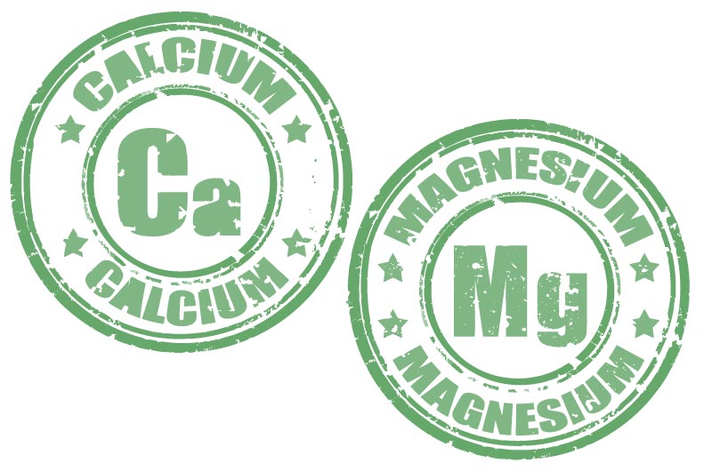 Cal Mag for Plants - What You Need to Know - Trees.com (2023)