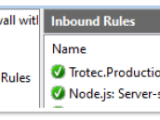 Ruby Not Loading With Remote Access Link