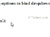 Angularjs Ng Options To Bind Dropdown List With Array List Example