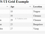 Angularjs Ui Grid Sorting Filtering Paging Grouping Tutlane