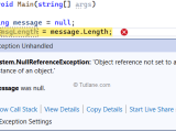 Nullreferenceexception In C With Examples Tutlane