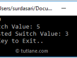 Visual Basic Select Case Statement Tutlane